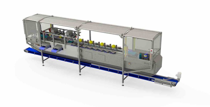 Breakthrough in mango processing